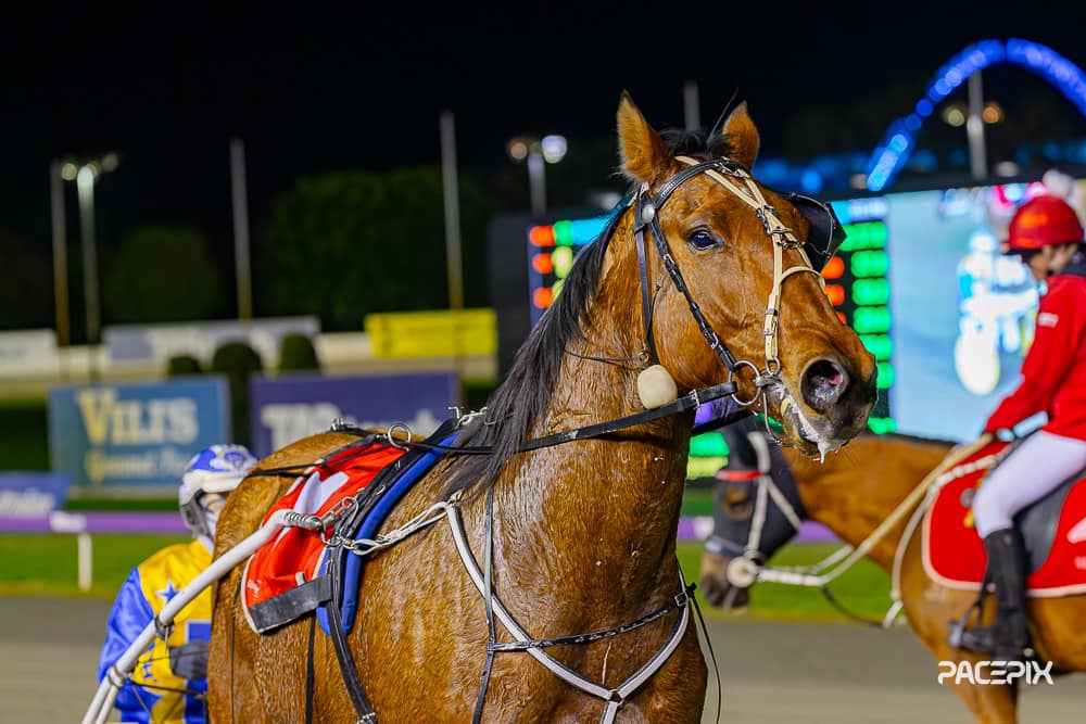 Alta Tribute to resume