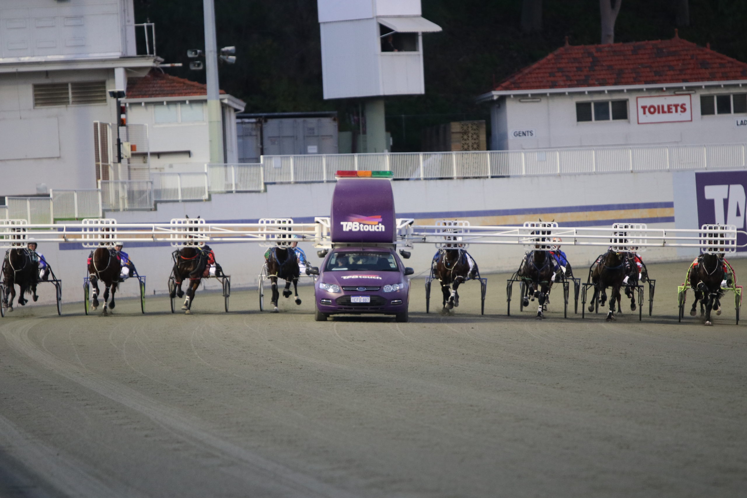 Bettors Pride is Nugget bound