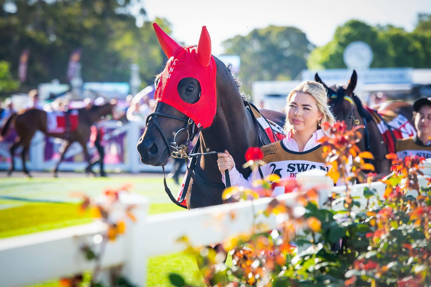 Changes to Perth Cup due to hot weather