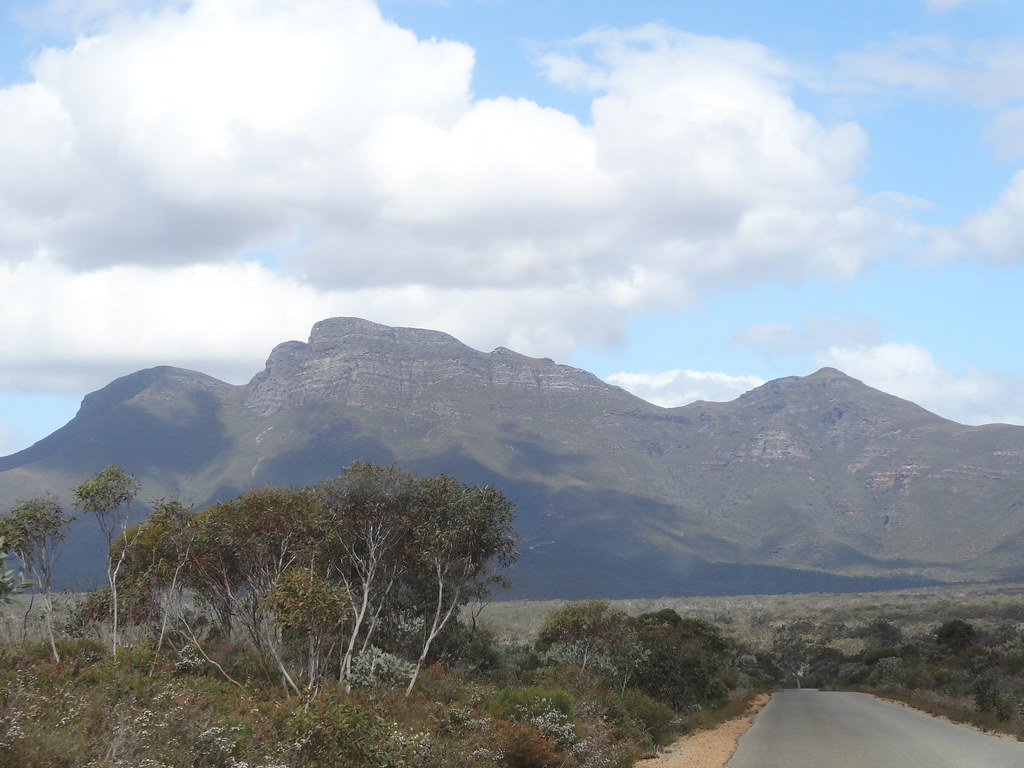 The Bluff Knoll