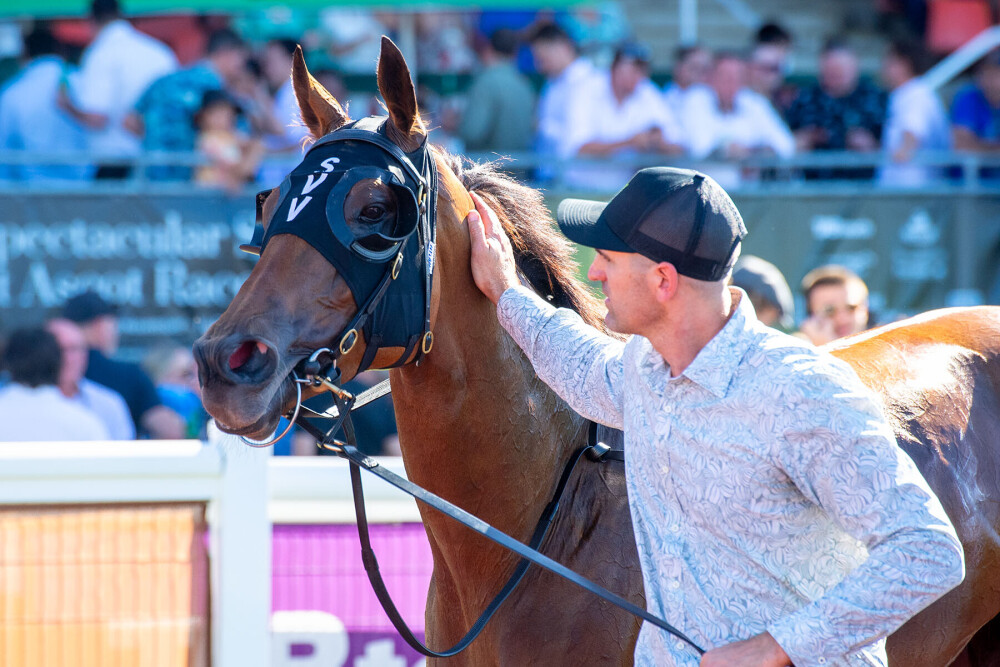 Aztec Ruler thriving ahead of Melbourne test