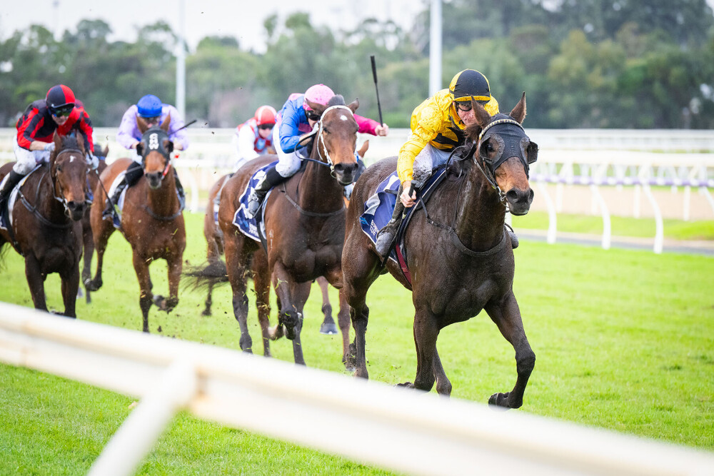 Pike fully invested in Belmont Classic fancy