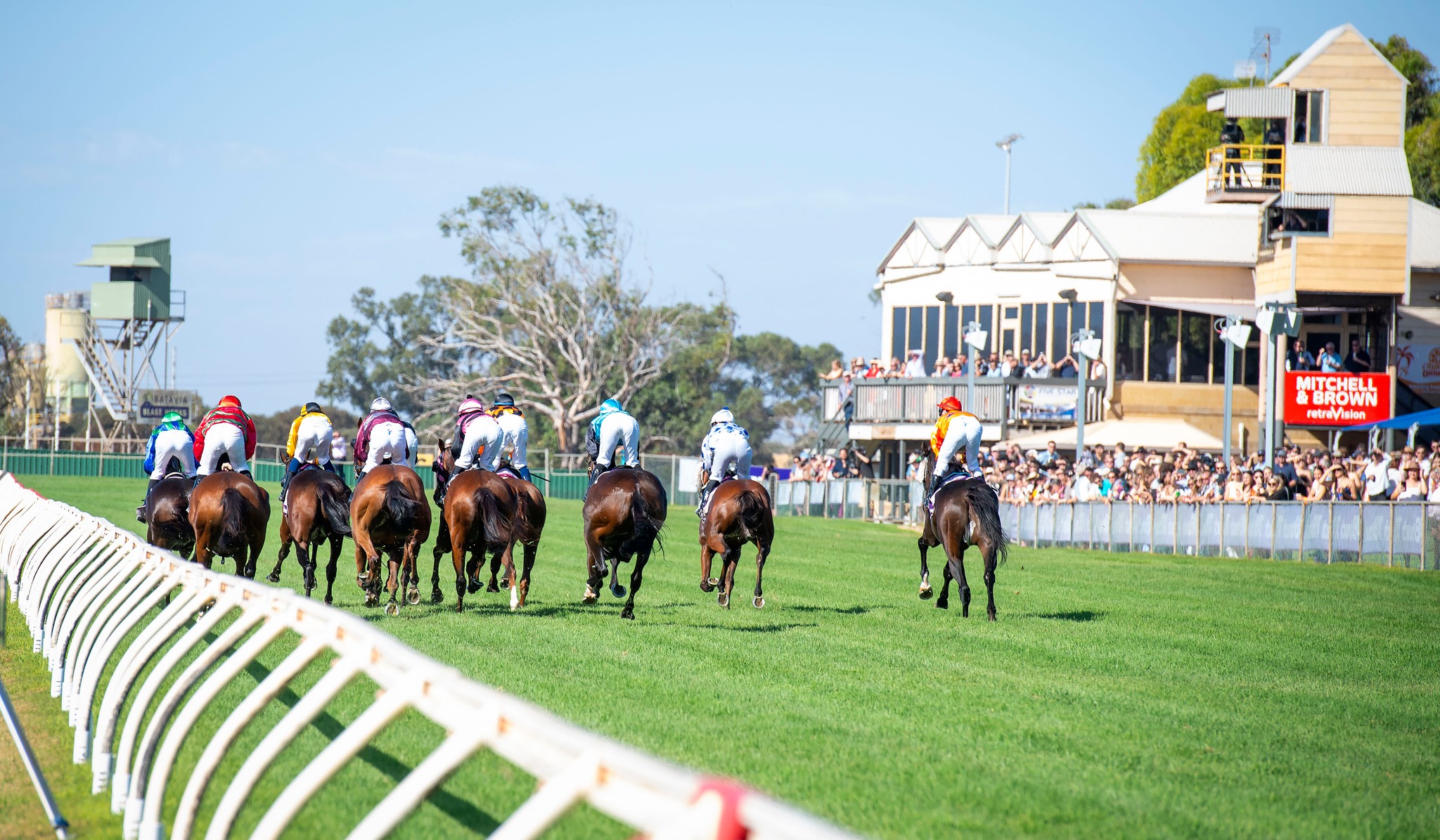 Geraldton Turf Club