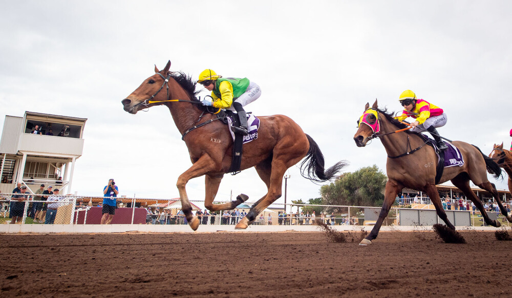 King Mahuta ready to rule in Broome Cup
