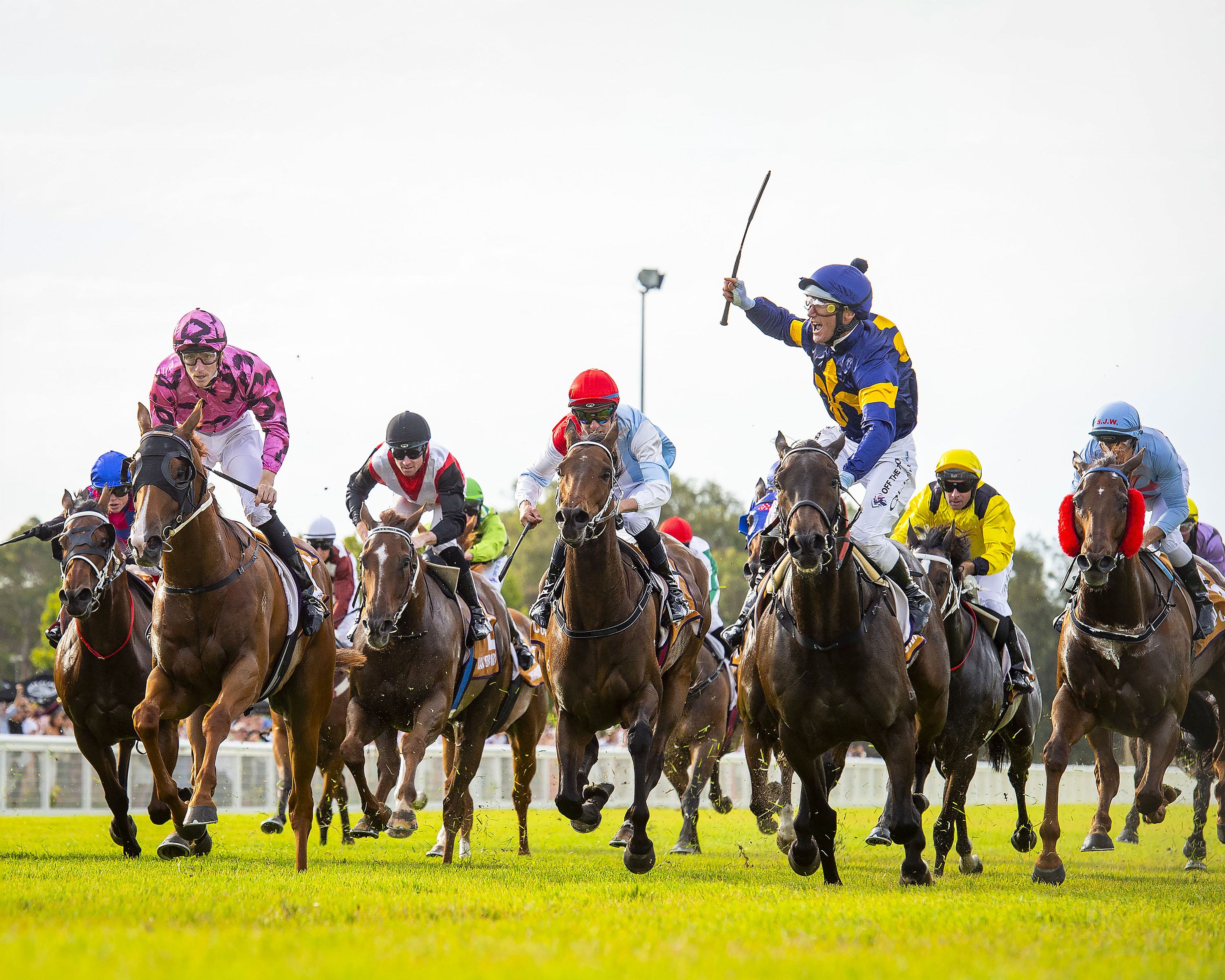 Racing WA and the Seven Network announce thoroughbred broadcast deal