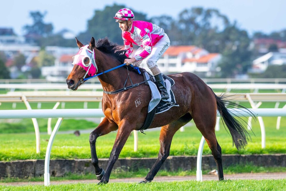 Taylor 'searchin' for Belmont Sprint victory