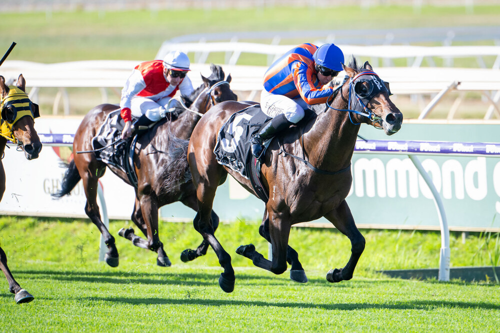 Classy September Born set for May return