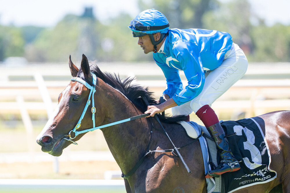 Strideaway set for Magic Millions goal