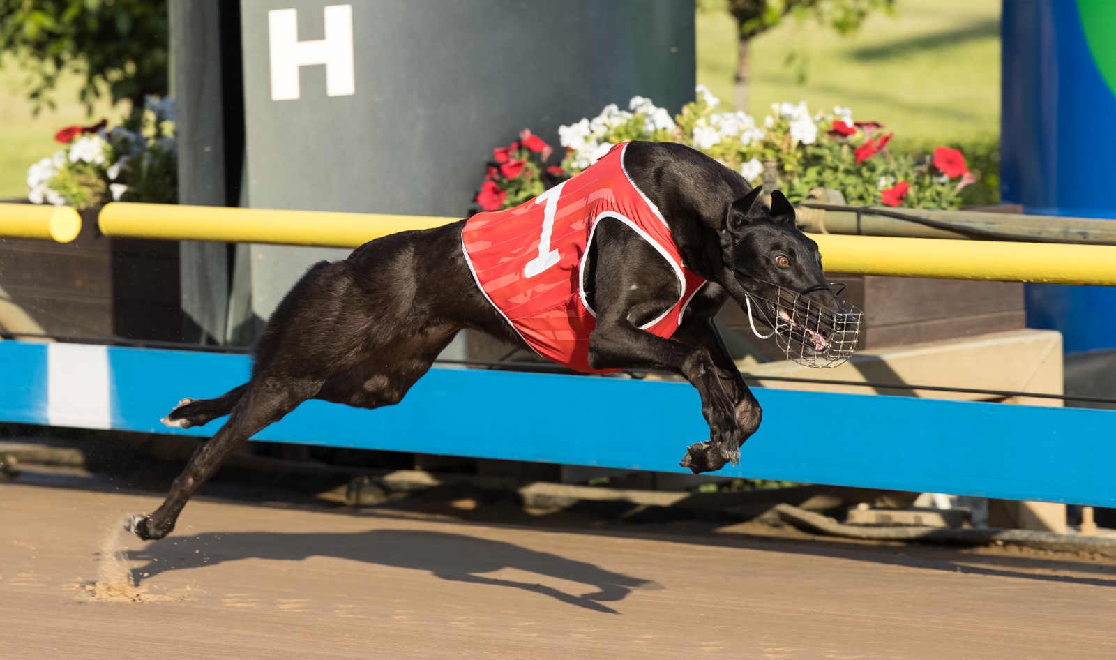 Canya All Class is set for The Sandgroper