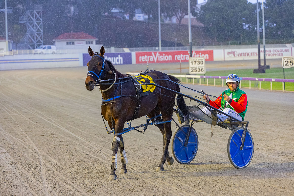Race Night Preview: Stars, Stories & Big Chances at Gloucester Park