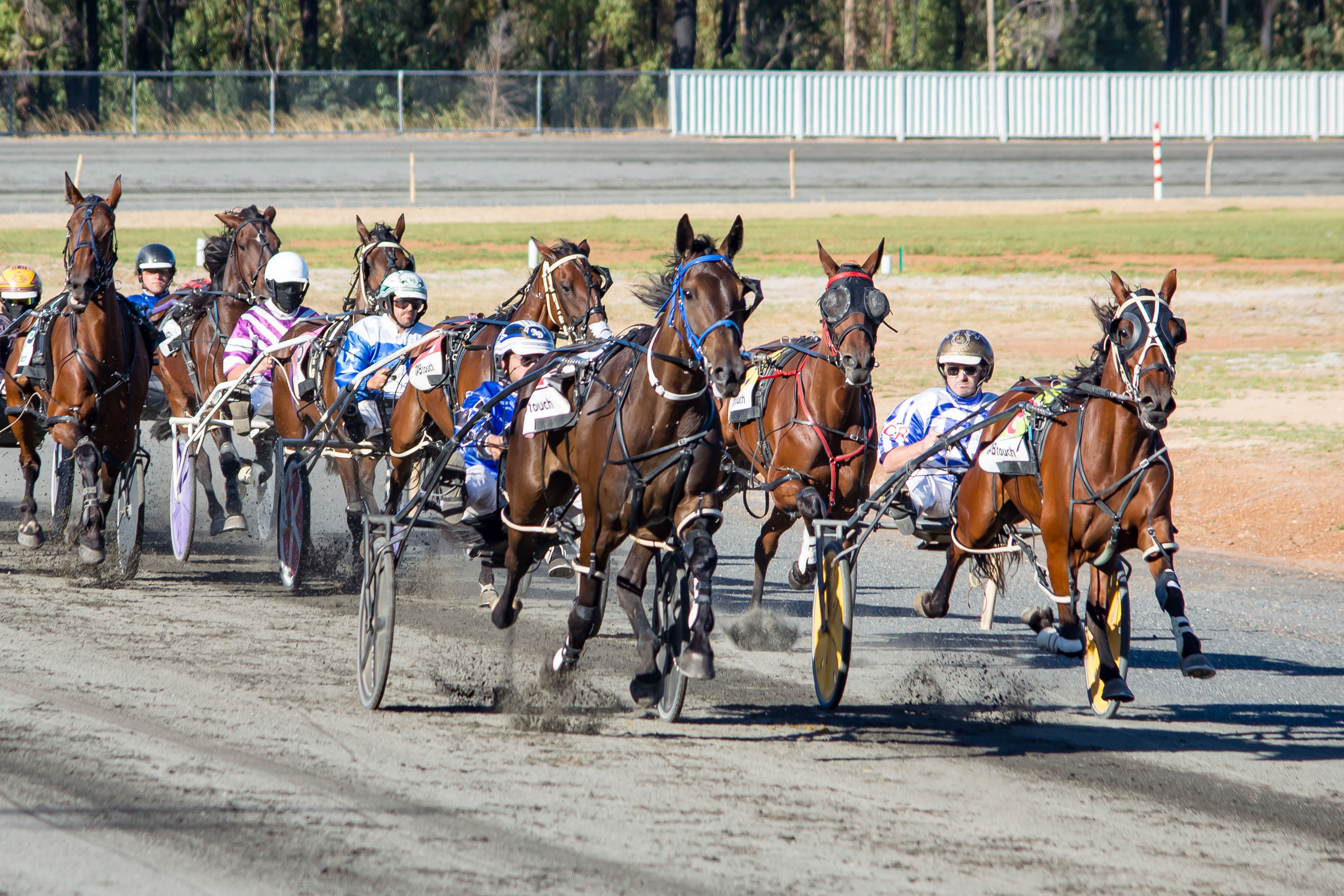 Bridgetown Harness Racing Club
