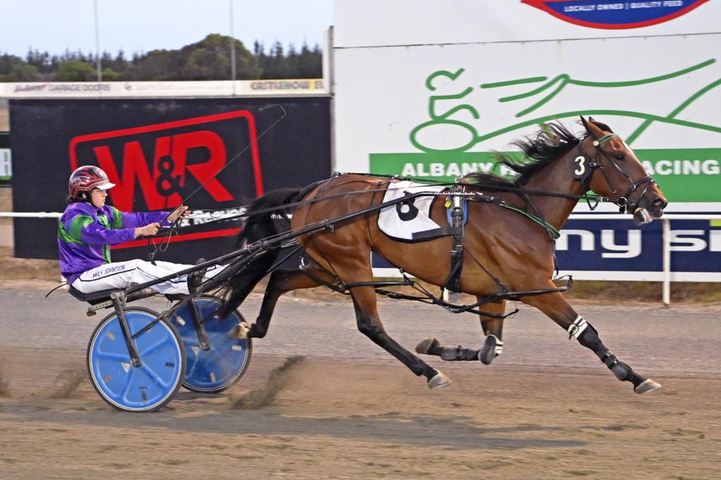 Albany Harness Racing Club trots into its 50th year of racing