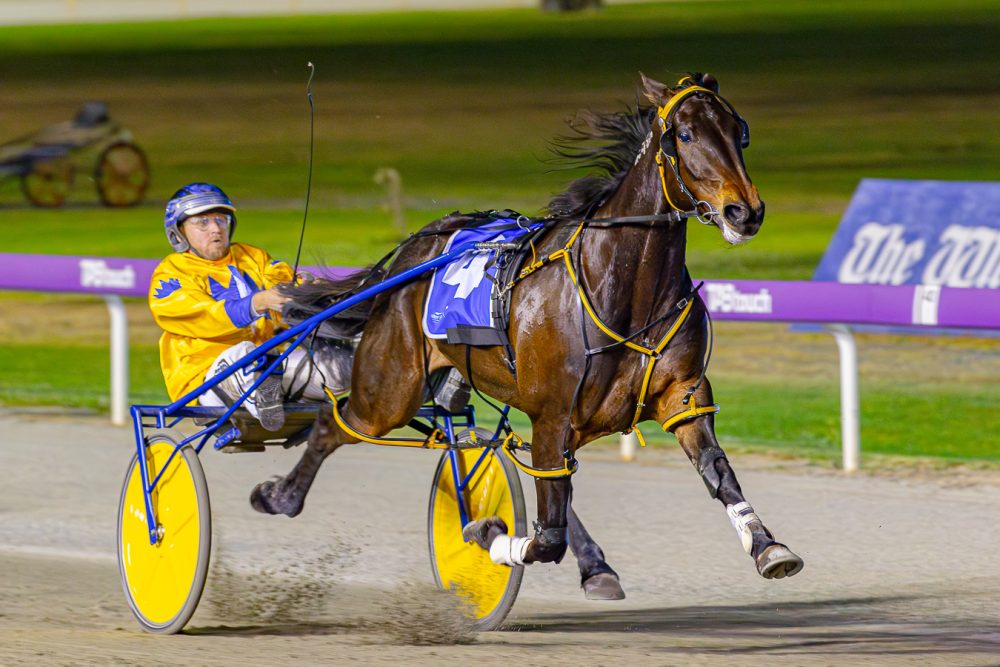 The Countdown Is On With Just 10 Days To Go To The WA Pacing Cup