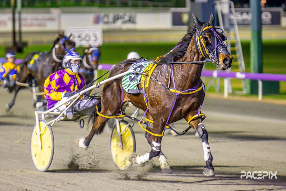 Sky’s The Limit For Never Ending: Hall Jnr