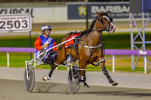 Pressure Mounts With Westbred Classic Barrier Draw Fast Approaching