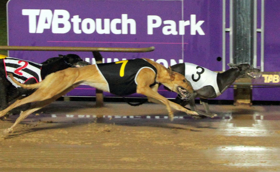 Rippin' Memphis out of the Perth Cup