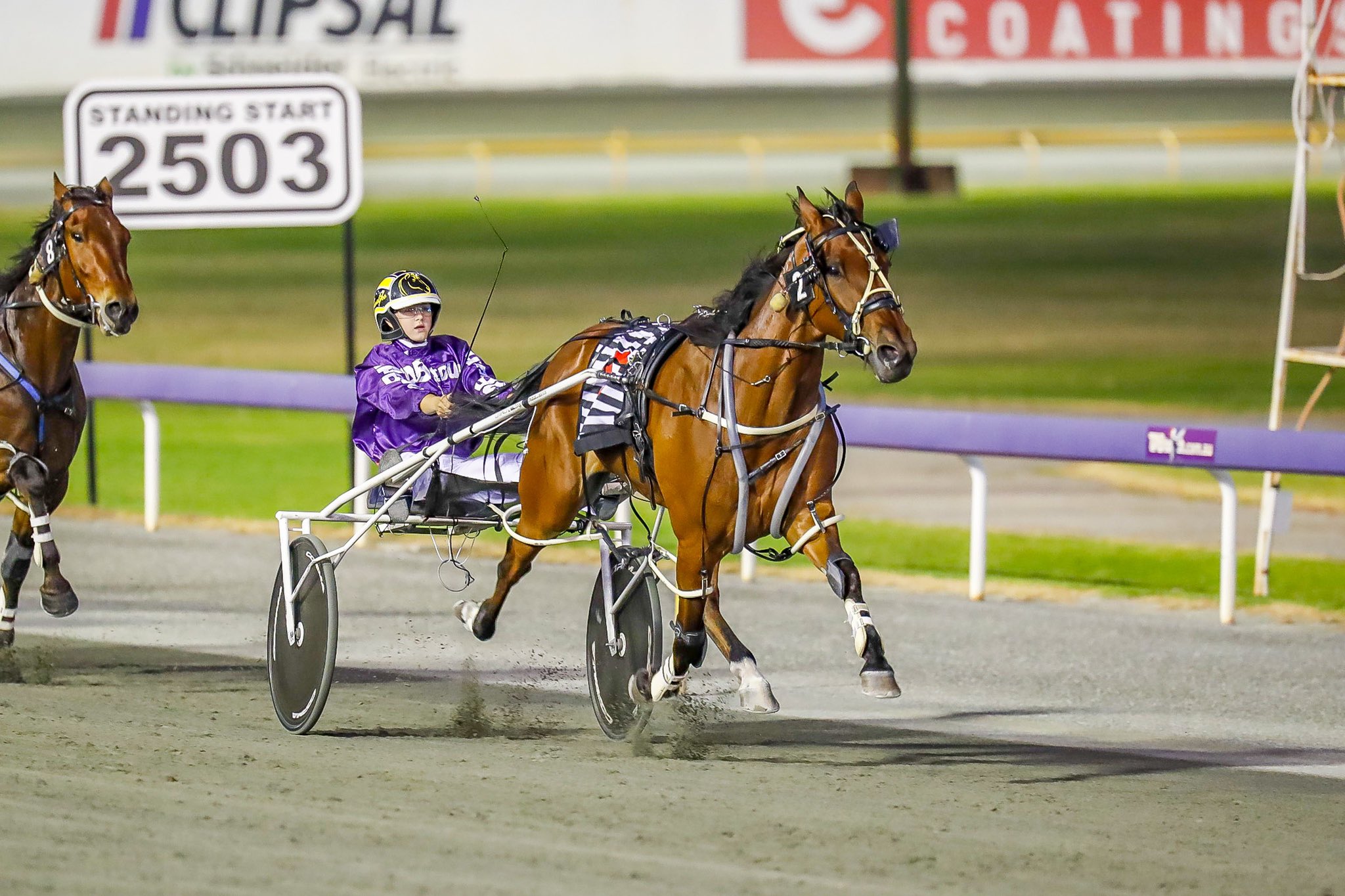 Veteran Mare Gets Golden Chance