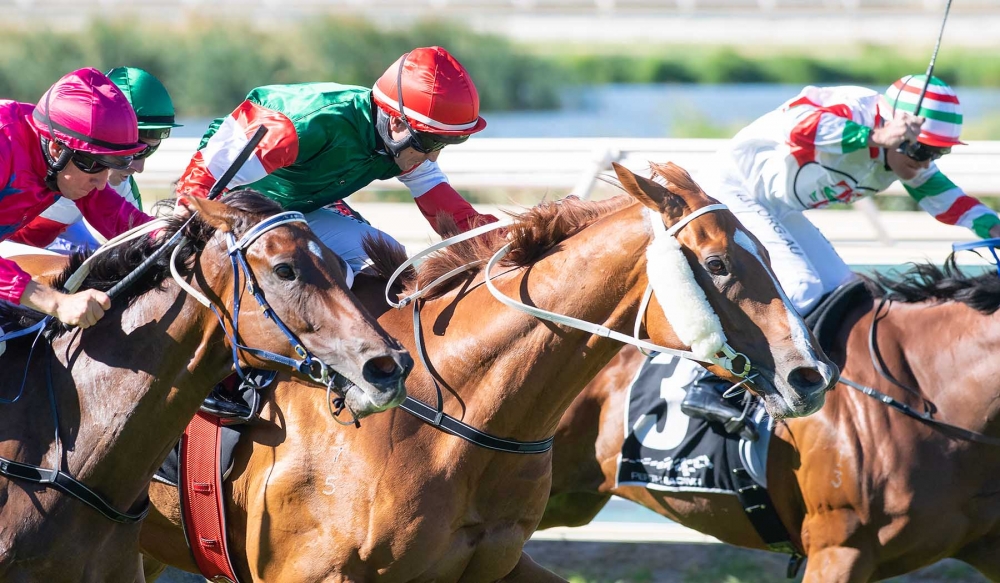 Samizdat Primed For Pinjarra Classic