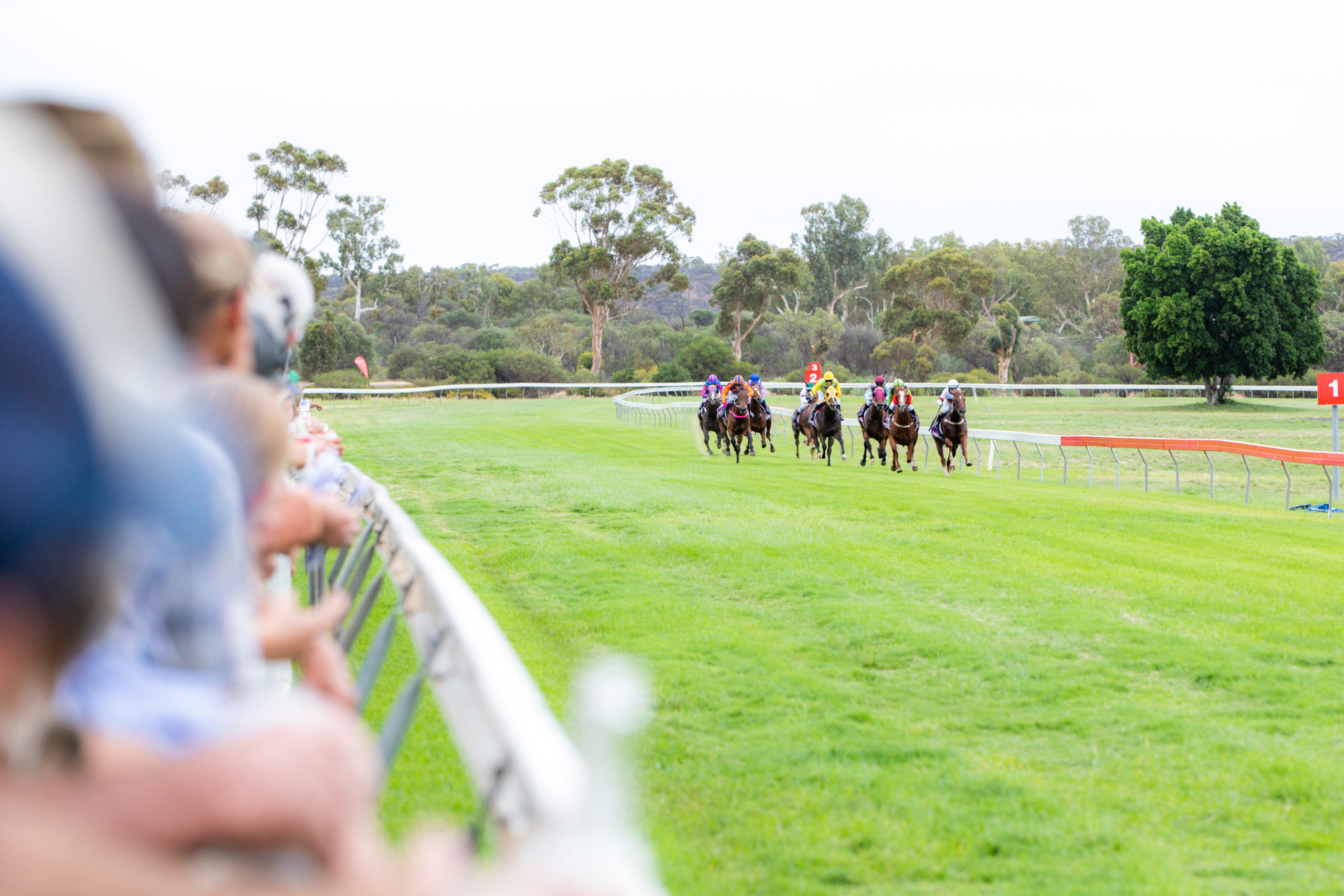 Mingenew Race Club and Community TAB to fundraise for local school