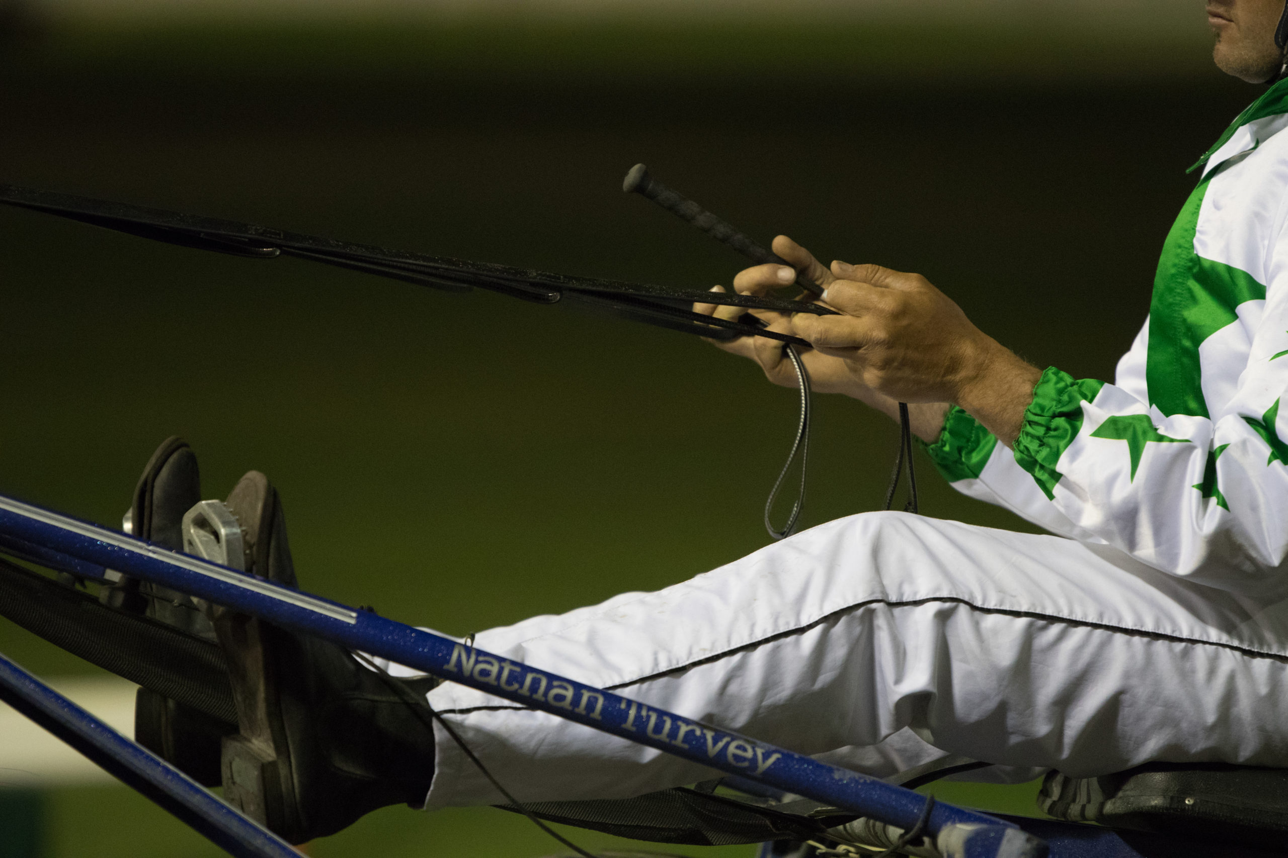 Memories Made in Collie