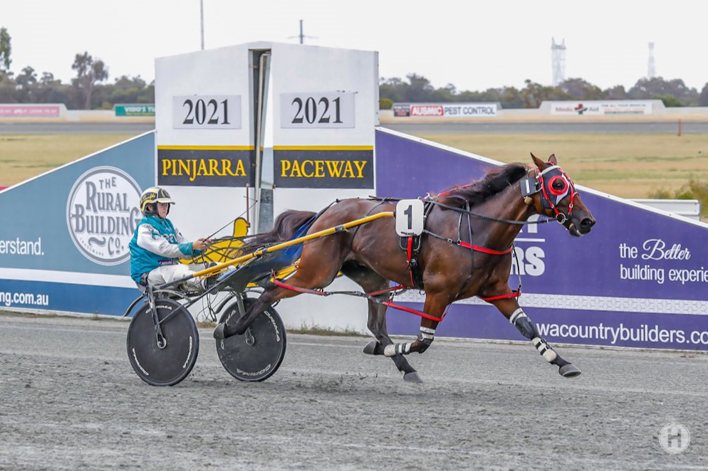 Pinjarra Harness Racing Club and Community TAB to fundraise for Ovarian ...