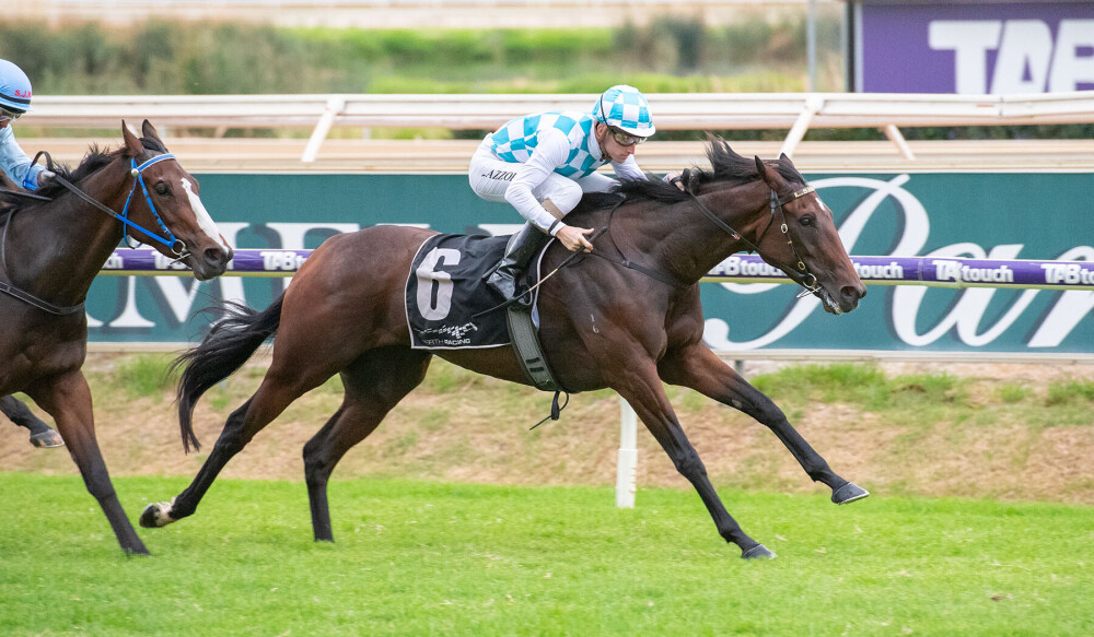 A Storm Coming In Sheila Gwynne Says Azzopardi