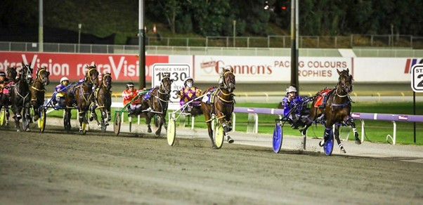 Westbred Barrier Draws: Floewriter Gets Chance To Go One Better