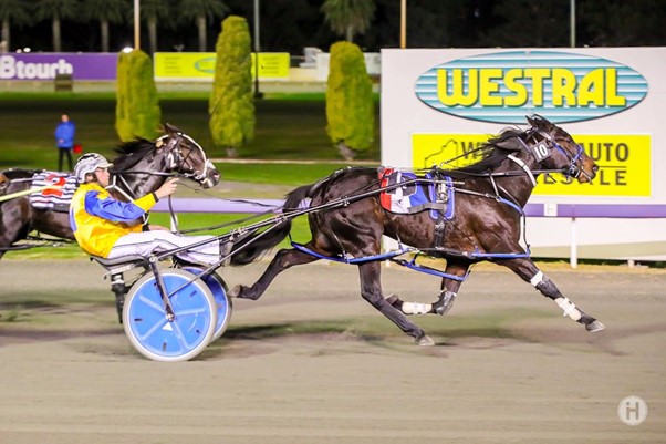 Westbred Spots Up For Grabs