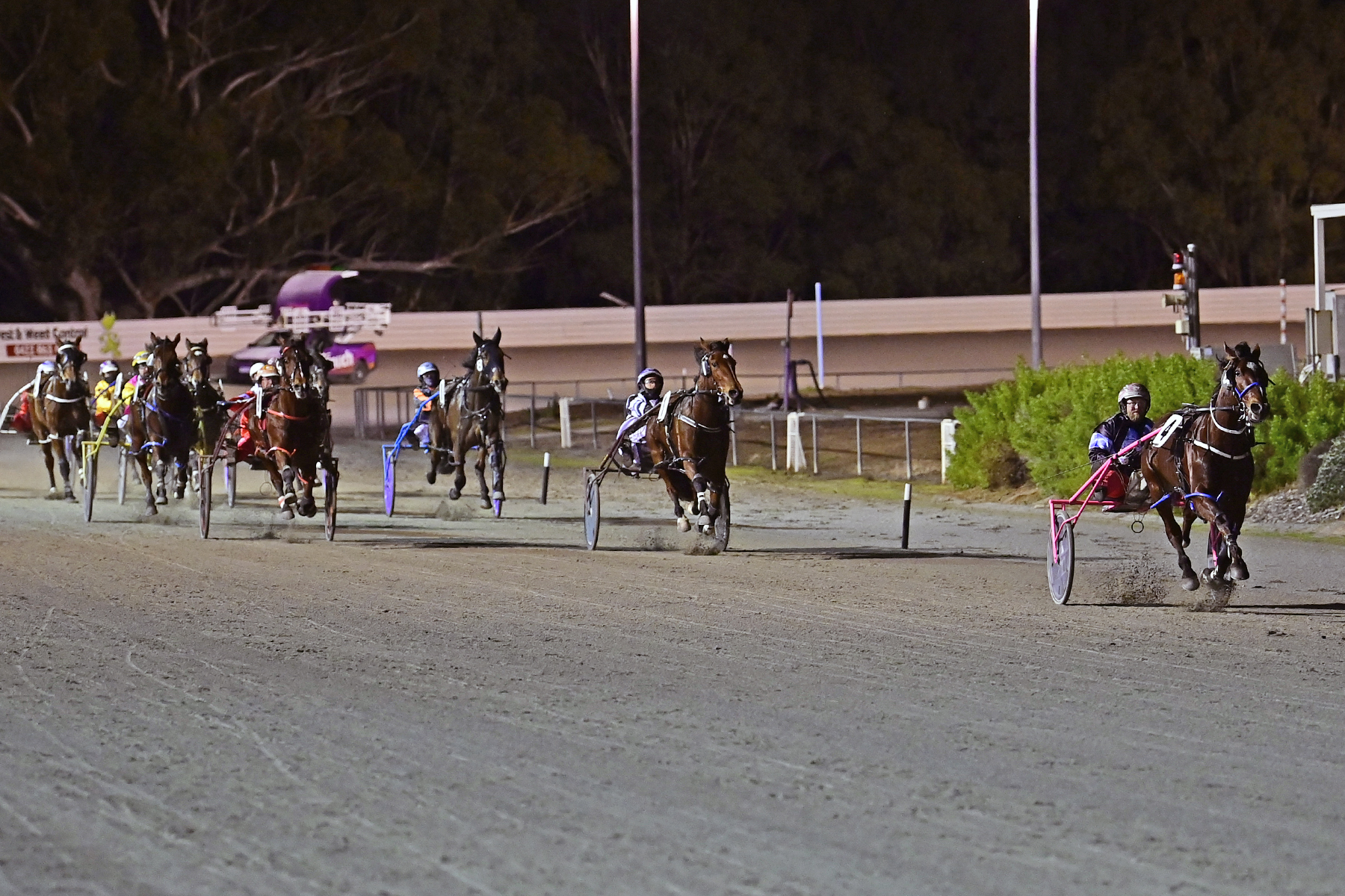 Hotfoot It NZ Returns To Winning Form