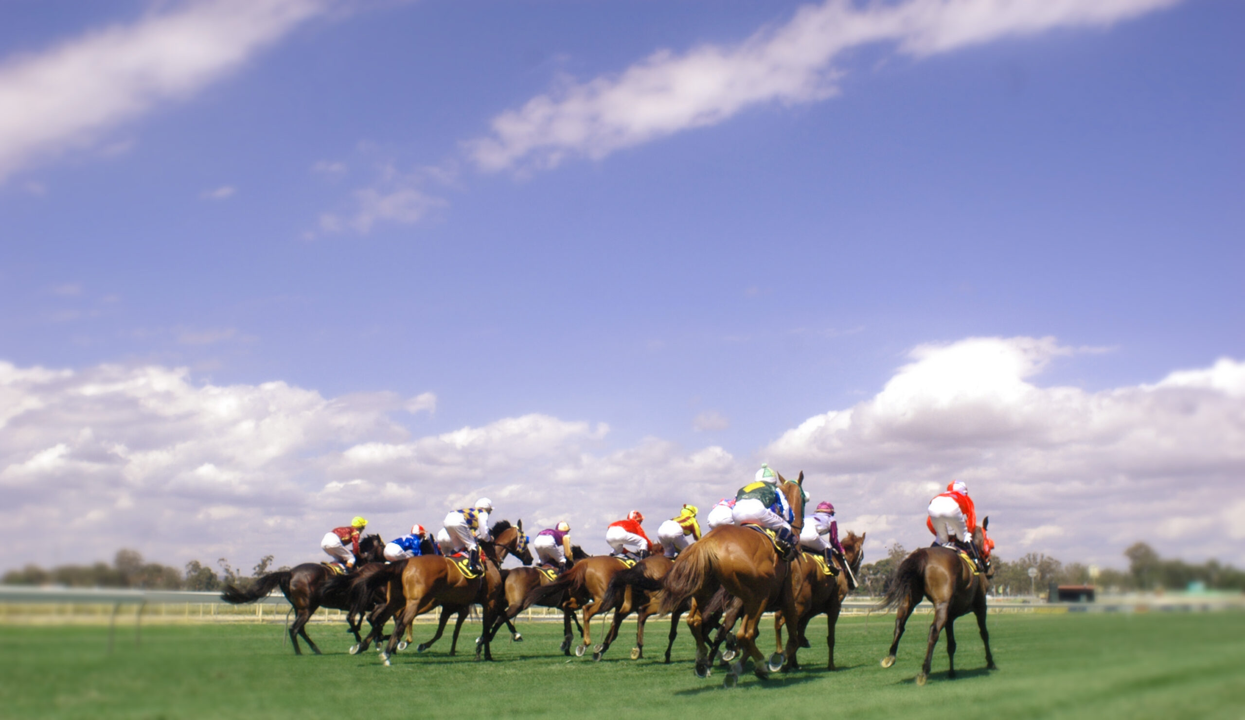 Tight race ahead for the 2021 thoroughbred awards