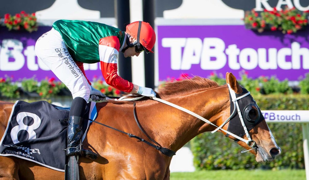 Samizdat Can Go To Melbourne In A Blaze Of Glory