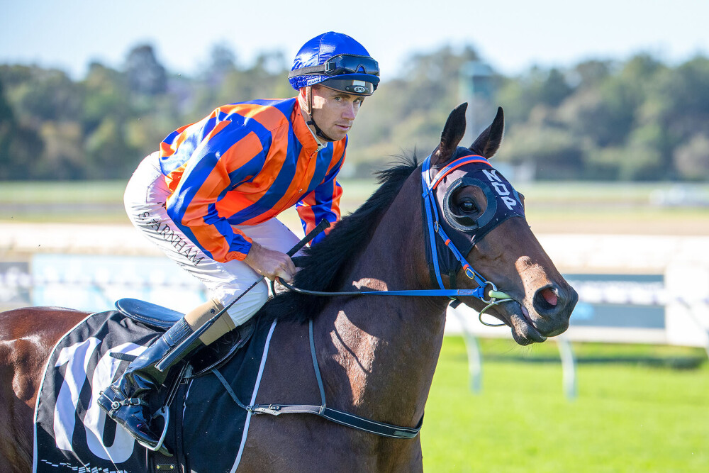 Kay Cee On The Way Back Says Parnham