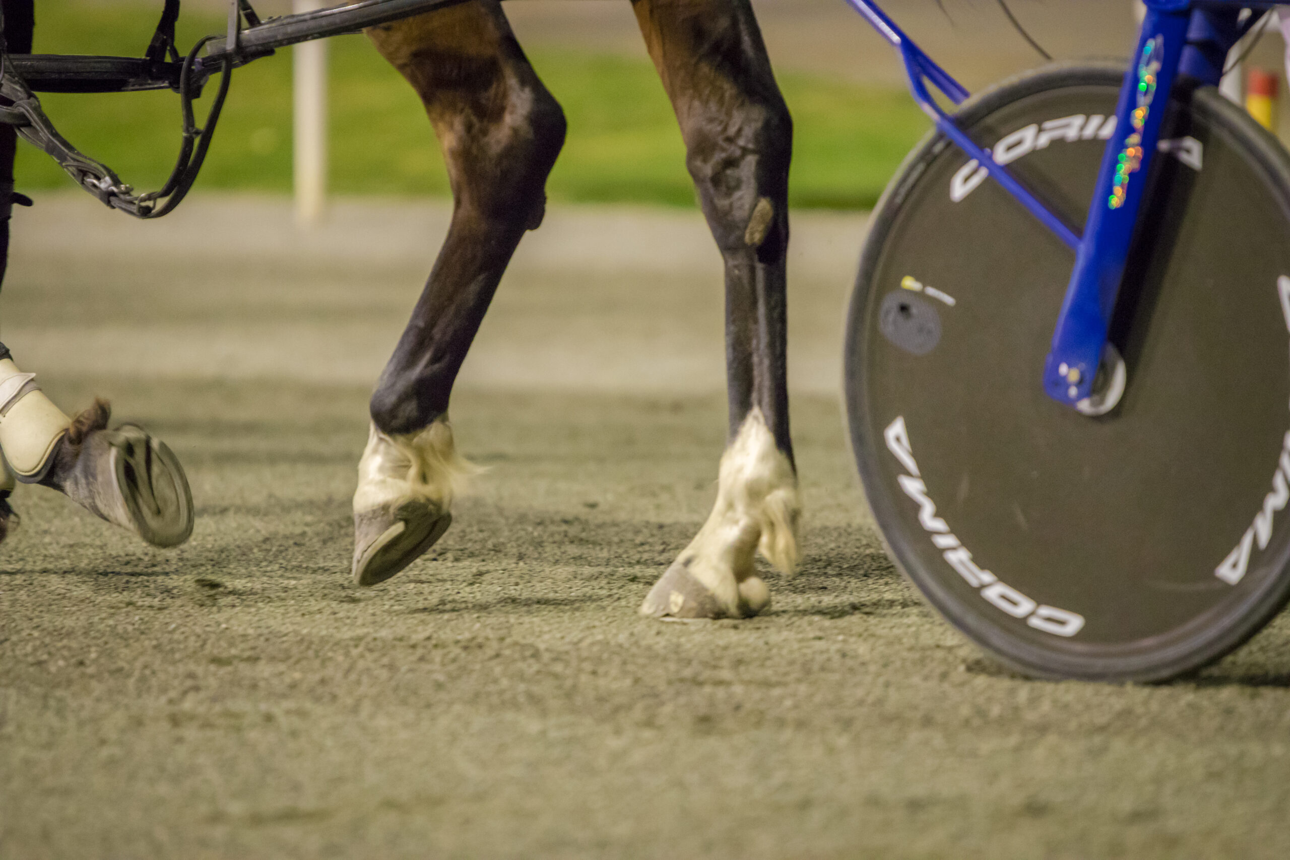New dates for premier harness races