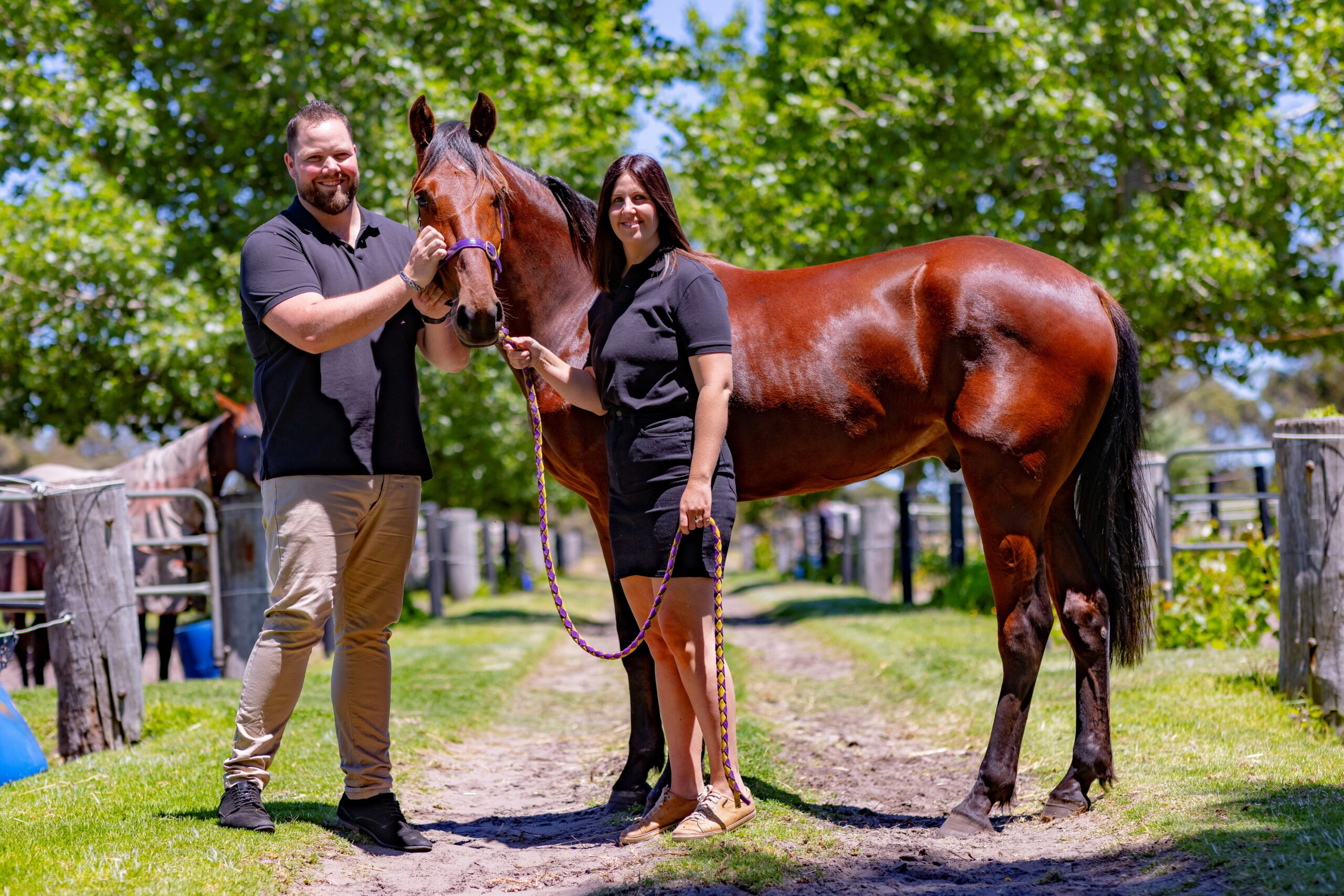 Take the fast track to racehorse ownership with Harness the Dream