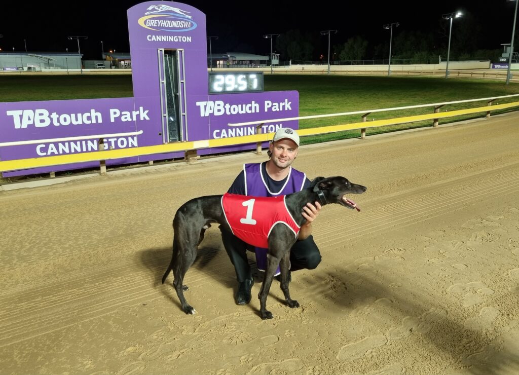 Top runners announced as contenders for the 2021 WA Greyhound of the Year