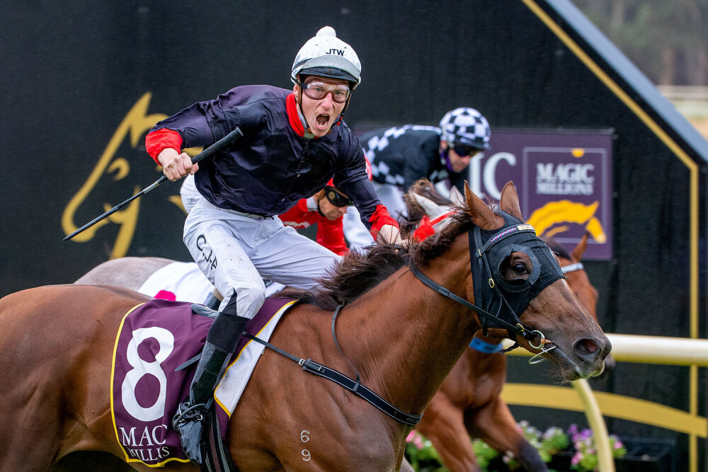 Digby Beacham's Magic Millions Preview