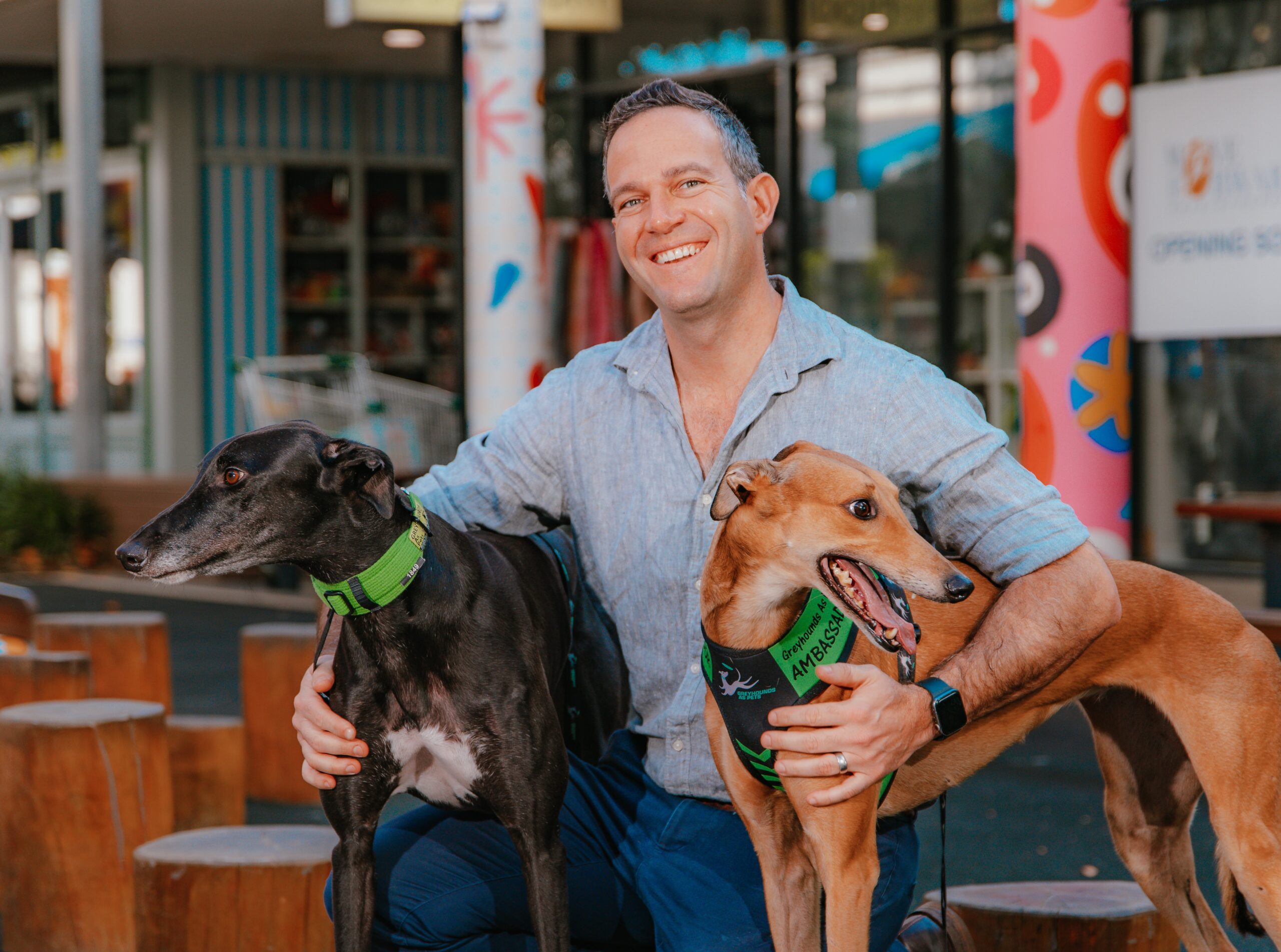 Discover a new friend during Greyhounds as Pets’ Adoption Month