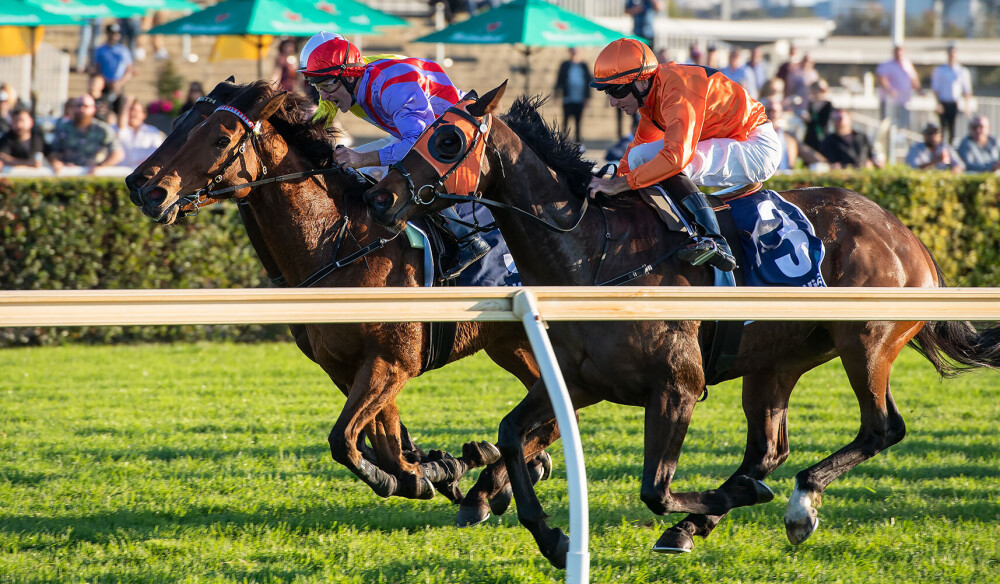 Setback For Prince Turbo