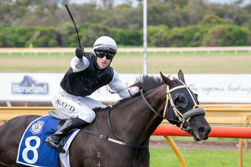 WA Racing News Update