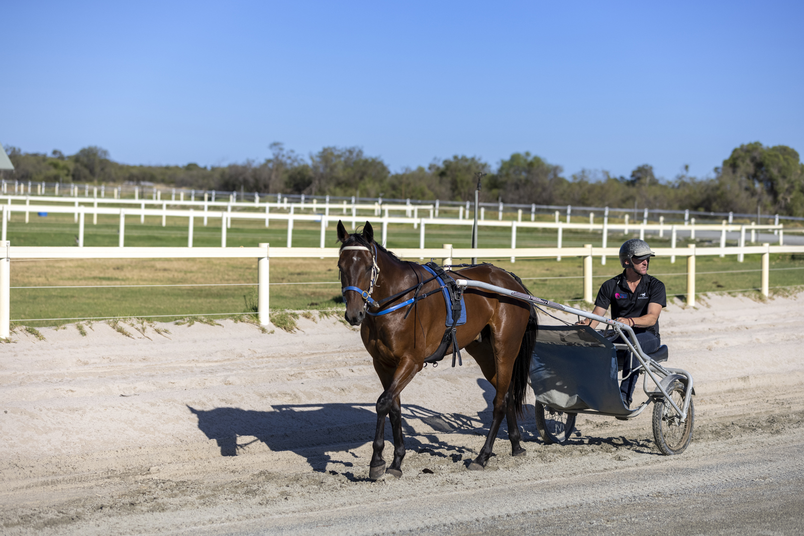 Pinjarra harness race improvements