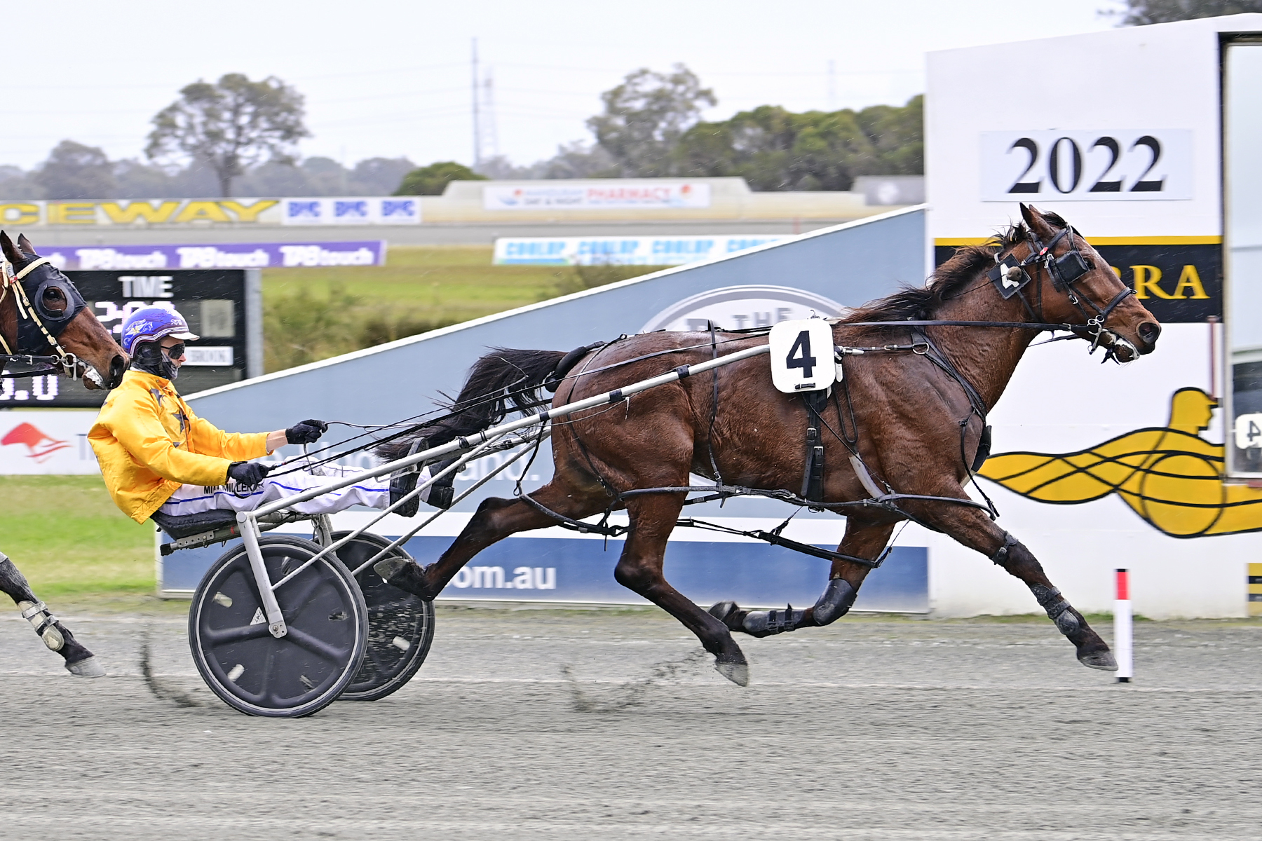 Nomorecheeseplease Serves Up Complete Surprise