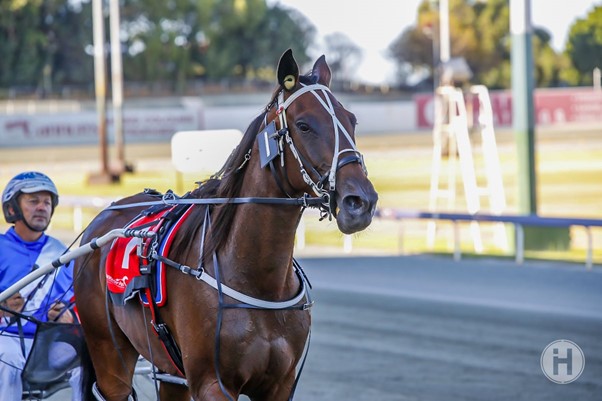 Derby Runner-Up Gets Chance To Bounce Back