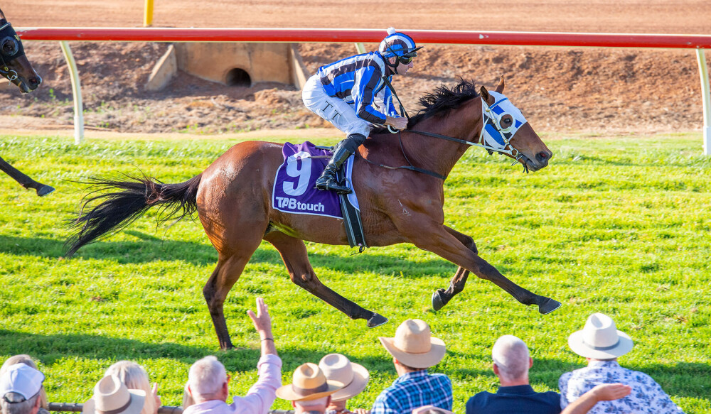 All Honours To All Man In York Cup