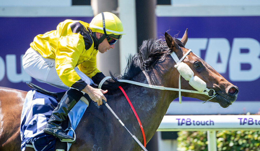 Carbery Happy To Be On His Bella For Placid Ark Stakes