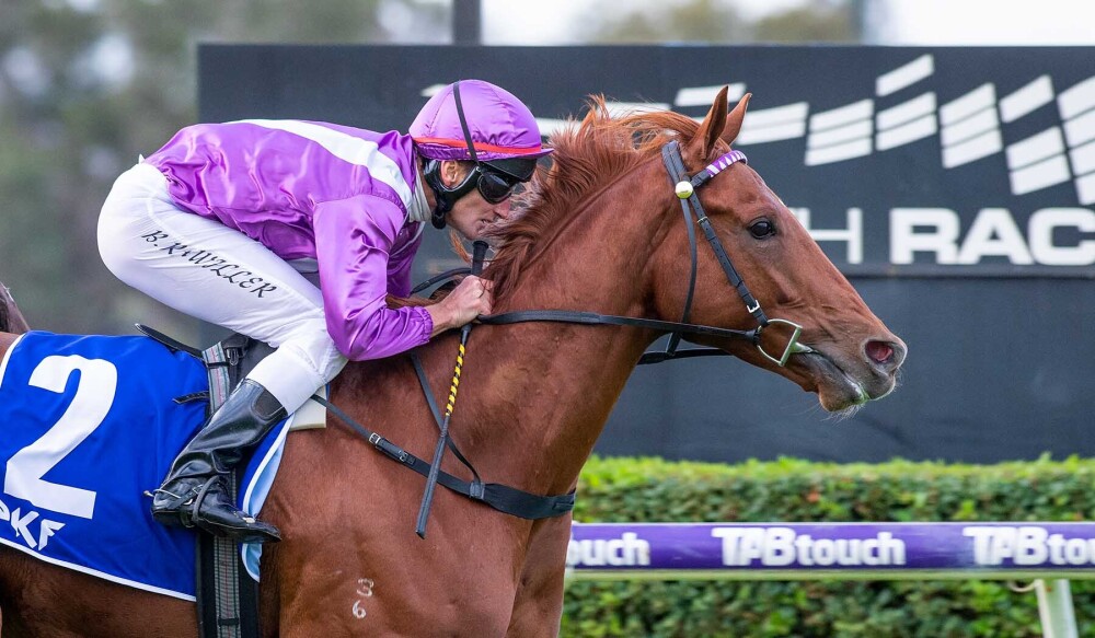 Elite Street Primed For Colonel Reeves Stakes.