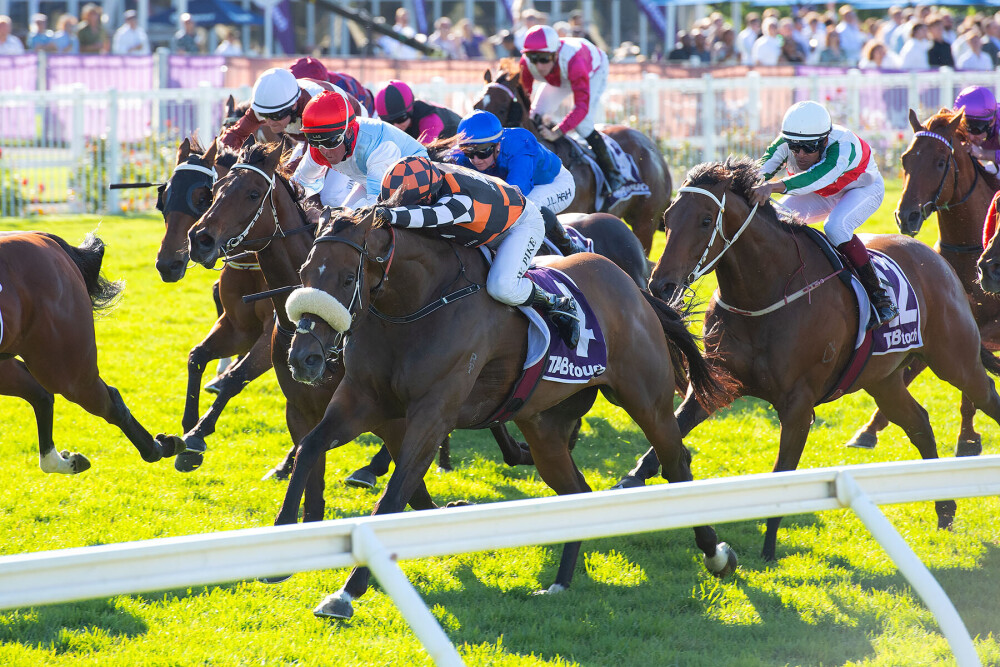 The Astrologist Eyeing Quokka Slot
