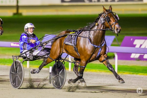 Hampton Banner Capable Of Fremantle Cup Upset