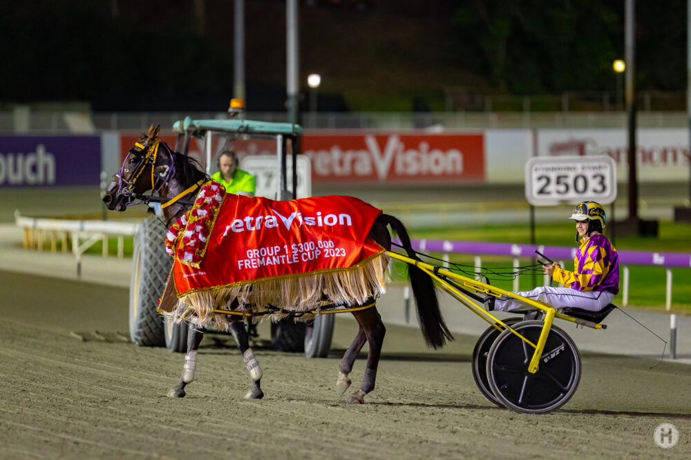 Racing WA Introduce New Field Selection Approach For Premier Harness Races