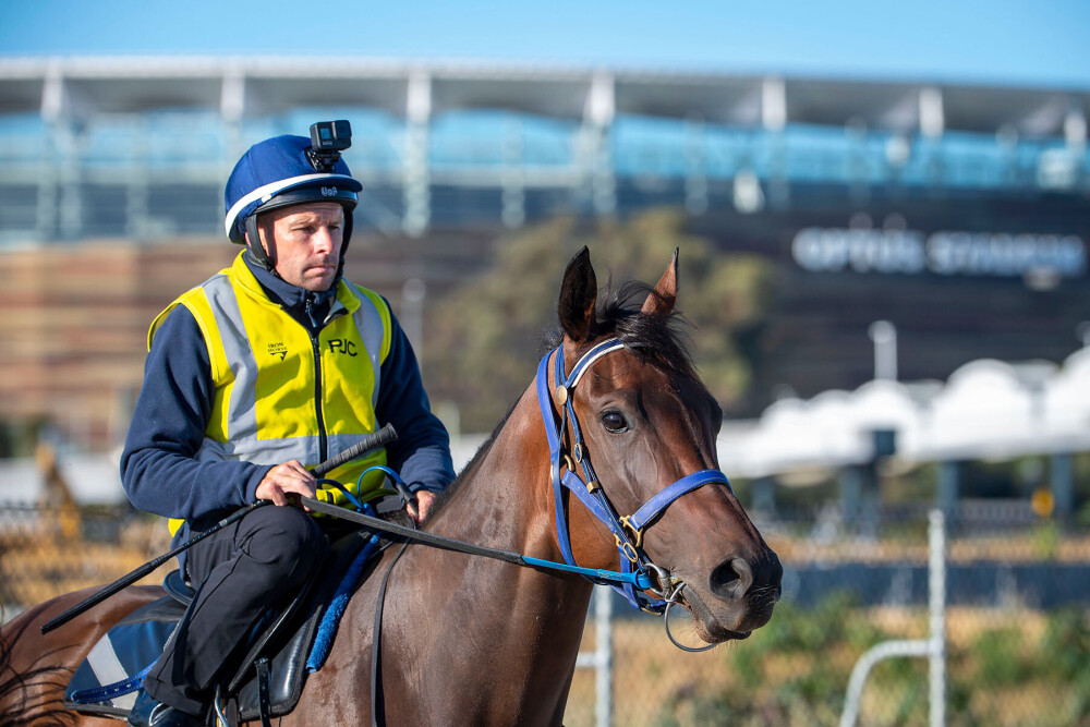 Carbery Staring Down Record Equalling Magic Millions