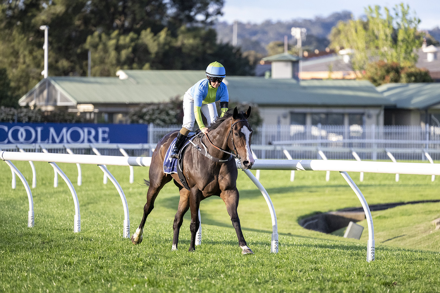 Sydney Sprinter Locked In For The Quokka